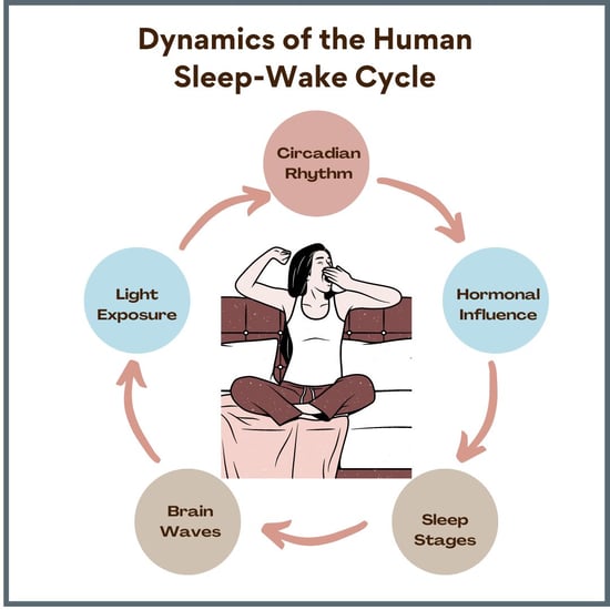 The Sleep-Wake Cycle: A Journey to Wellness
